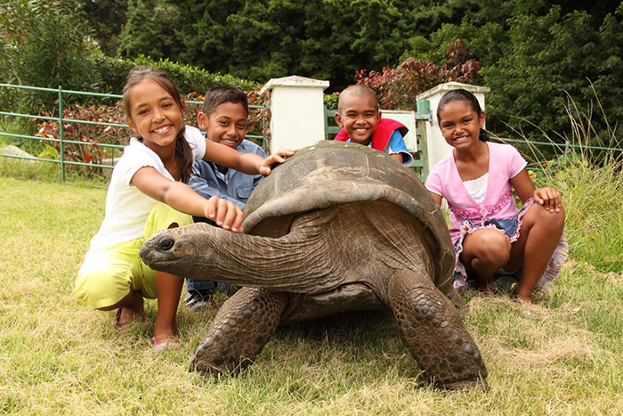 Meet Jonathan — The 191-Year-Old Tortoise, The oldest-known animal in the world! – Animal Pond